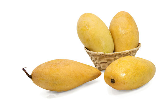 "Yellow Mango" Images – Browse 1,128 Stock Photos, Vectors, and Video ...