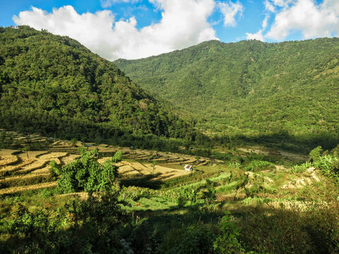 Khonoma Images – Browse 55 Stock Photos, Vectors, and Video | Adobe Stock