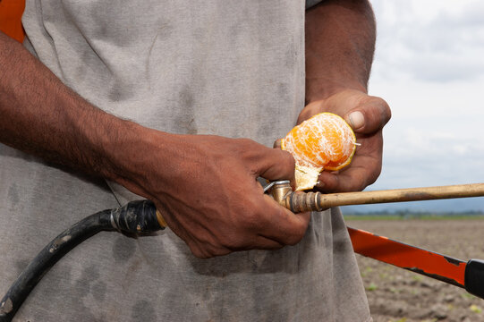 "Bad Practice" Bilder – Durchsuchen 89 Archivfotos, Vektorgrafiken und ...