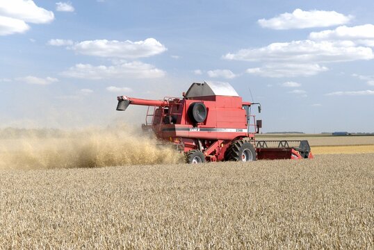 รูปภาพMoisson – เลือกดูภาพถ่ายสต็อก เวกเตอร์ และวิดีโอ16,677 | Adobe Stock