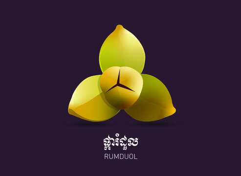 Cambodia National Flower Rumdul | Best Flower Site