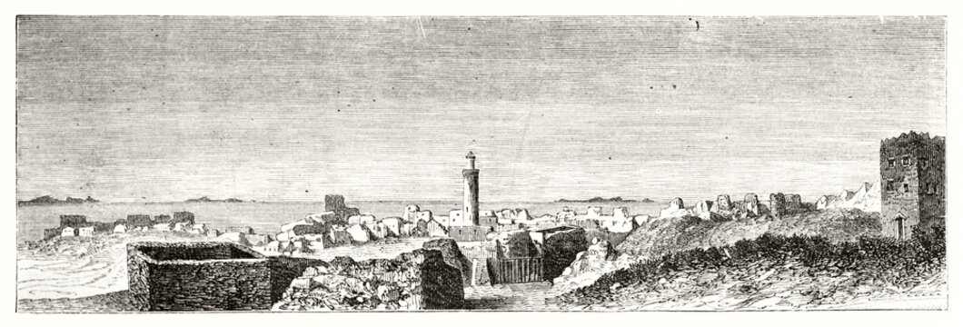 รูปภาพZeila – เลือกดูภาพถ่ายสต็อก เวกเตอร์ และวิดีโอ264 | Adobe Stock