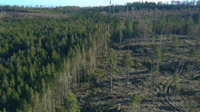 Imagens de Clea – Explore Fotografias do Stock, Vetores e Vídeos de ...