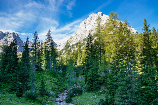 Ehrwald Bilder – Durchsuchen 4,323 Archivfotos, Vektorgrafiken und ...