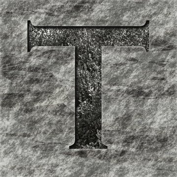 Letter T Photography