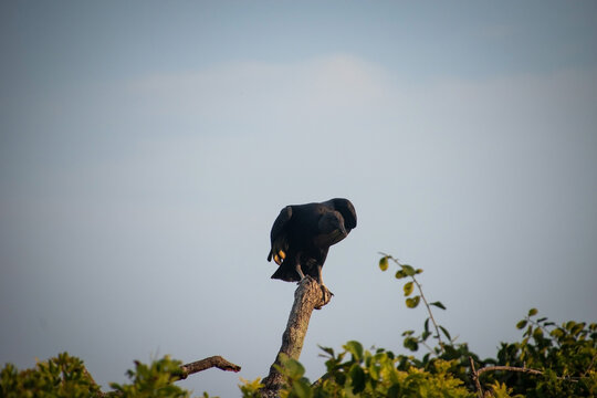 Parado Images – Parcourir 1,648 le catalogue de photos, vecteurs et ...