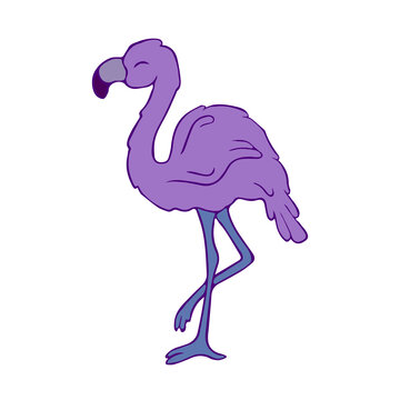 Purple Flamingos