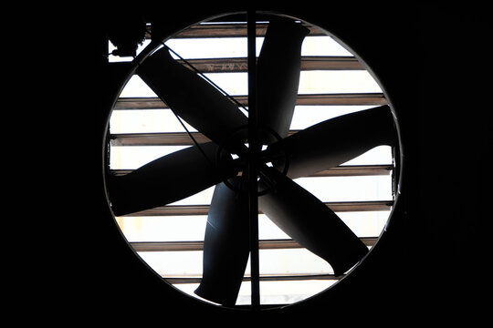 Front Fan Wheel Images – HD & 4K Photos Free to Download | PikWizard