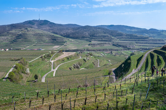 Texas-Pass Images – Browse 6 Stock Photos, Vectors, and Video | Adobe Stock