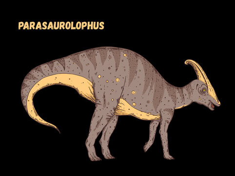 รูปภาพHadrosaur – เลือกดูภาพถ่ายสต็อก เวกเตอร์ และวิดีโอ692 | Adobe Stock