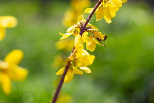 รูปภาพAromas – เลือกดูภาพถ่ายสต็อก เวกเตอร์ และวิดีโอ2,765,434 | Adobe ...