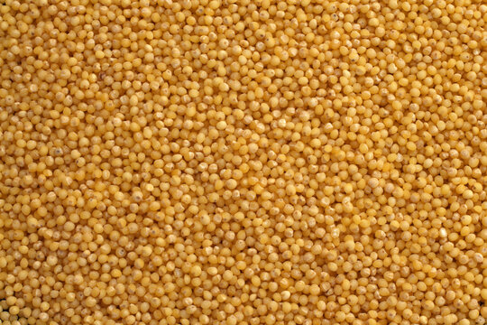 "Millet Background" Images – Browse 153 Stock Photos, Vectors, and ...