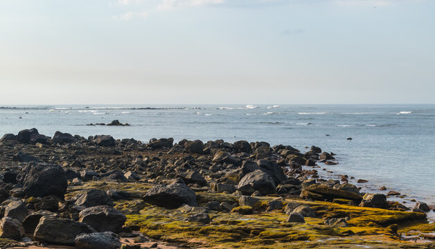 รูปภาพSonsonate – เลือกดูภาพถ่ายสต็อก เวกเตอร์ และวิดีโอ201 | Adobe Stock