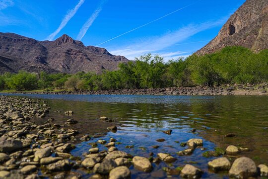 「Novillo」の画像 - 461 件の Stock 写真、ベクターおよびビデオ | Adobe Stock