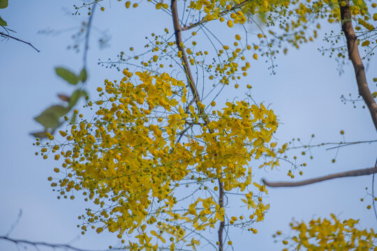 รูปภาพKonnapoo – เลือกดูภาพถ่ายสต็อก เวกเตอร์ และวิดีโอ71 | Adobe Stock