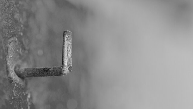 Alcayata Bilder – Durchsuchen 1,746 Archivfotos, Vektorgrafiken und ...