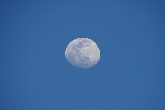 夏目漱石 Images – Browse 258 Stock Photos, Vectors, and Video | Adobe Stock