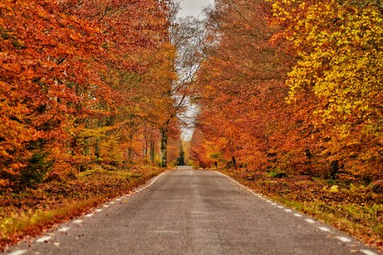 Auttum Images – Browse 151 Stock Photos, Vectors, and Video | Adobe Stock