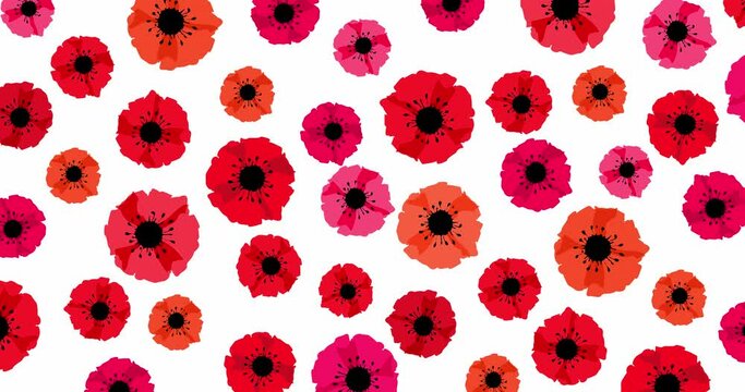 Memorial Day Poppies Images – Browse 9,553 Stock Photos, Vectors, and ...