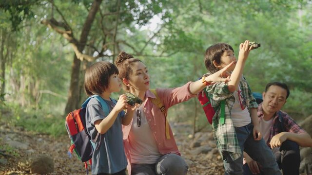 "Nature Study" Images – Browse 2,015 Stock Photos, Vectors, and Video ...