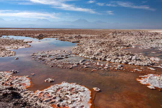 Inhospitable Images – Browse 116,615 Stock Photos, Vectors, and Video ...