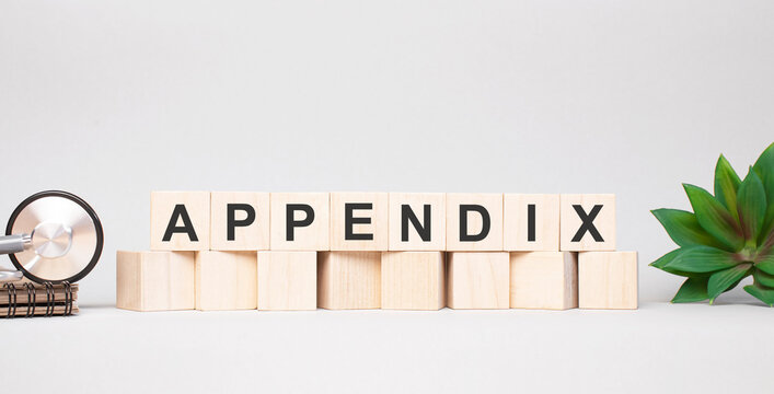 รูปภาพAppendix – เลือกดูภาพถ่ายสต็อก เวกเตอร์ และวิดีโอ17,905 | Adobe Stock