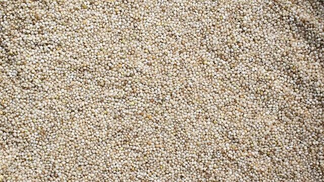 "Little Millet" Images – Browse 243 Stock Photos, Vectors, and Video ...