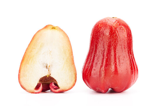 「Makopa」の画像 - 2,234 件の Stock 写真、ベクターおよびビデオ | Adobe Stock