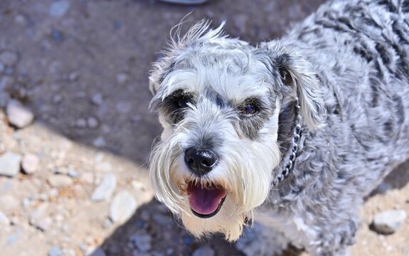 รูปภาพSimpatico – เลือกดูภาพถ่ายสต็อก เวกเตอร์ และวิดีโอ9,799 | Adobe Stock