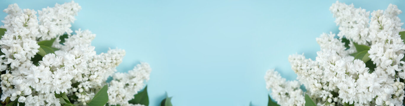 "Nature Banner" Images – Browse 985 Stock Photos, Vectors, and Video ...