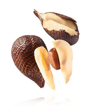 รูปภาพSnakefruit – เลือกดูภาพถ่ายสต็อก เวกเตอร์ และวิดีโอ8,305 | Adobe ...