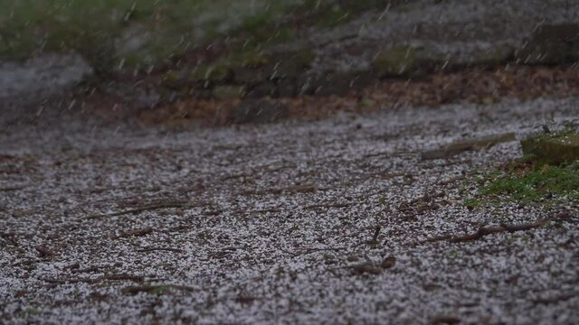 Sleet Images – Browse 25,874 Stock Photos, Vectors, and Video | Adobe Stock