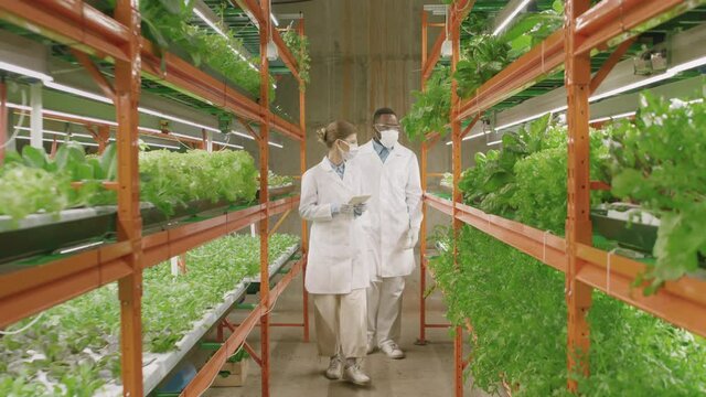 Botanist In Lab Images – Browse 2,829 Stock Photos, Vectors, and Video ...