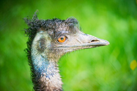 รูปภาพExtant – เลือกดูภาพถ่ายสต็อก เวกเตอร์ และวิดีโอ5,541 | Adobe Stock