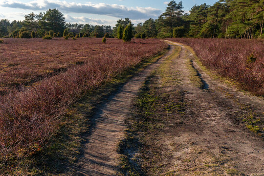 "Heath Landscape" Images – Browse 774 Stock Photos, Vectors, and Video ...