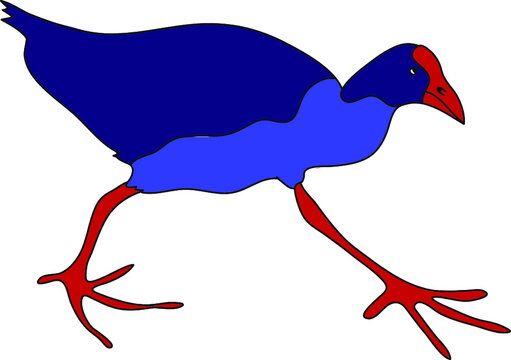 Pukeko Images – Browse 1,431 Stock Photos, Vectors, and Video | Adobe Stock