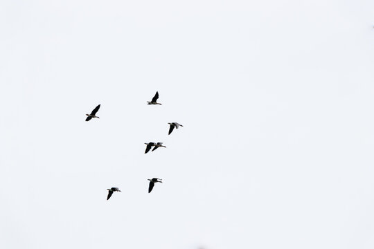 198,130 BESTE Steigen BILDER, STOCK-FOTOS & -VEKTORGRAFIKEN | Adobe Stock