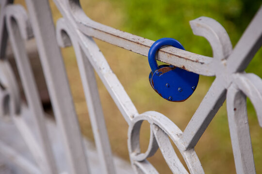 Mutuality Images – Browse 2,691 Stock Photos, Vectors, and Video ...