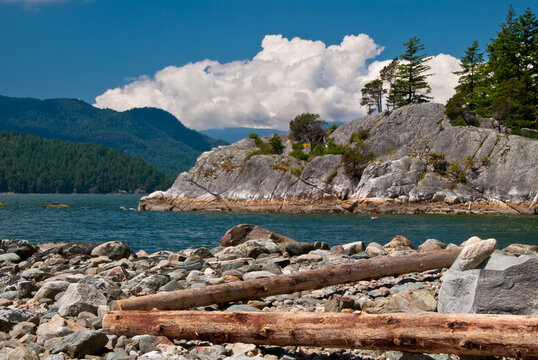 รูปภาพWhyte – เลือกดูภาพถ่ายสต็อก เวกเตอร์ และวิดีโอ299 | Adobe Stock