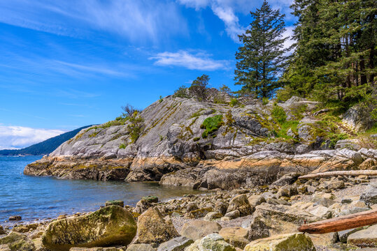 รูปภาพWhyte – เลือกดูภาพถ่ายสต็อก เวกเตอร์ และวิดีโอ249 | Adobe Stock