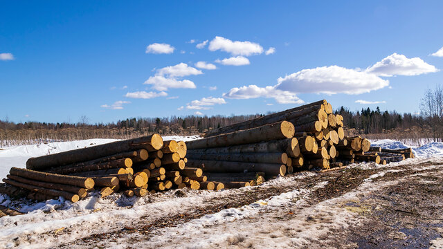 "Sawn Logs" Images – Browse 1,218 Stock Photos, Vectors, and Video ...