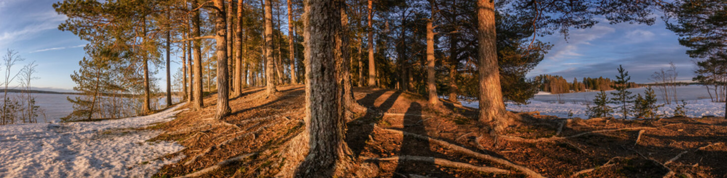 รูปภาพSubarctic – เลือกดูภาพถ่ายสต็อก เวกเตอร์ และวิดีโอ3,410 | Adobe Stock