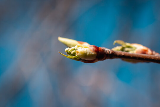 Outgoing Images – Browse 526,326 Stock Photos, Vectors, and Video ...