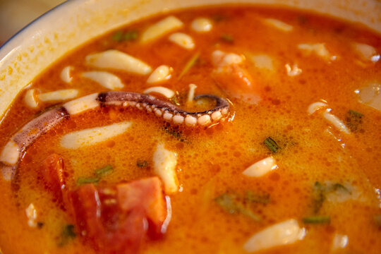 "Octopus Soup" Bilder – Durchsuchen 139 Archivfotos, Vektorgrafiken und ...