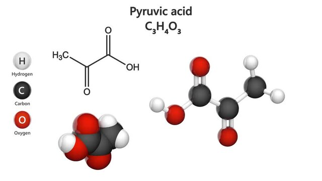 「C3H4O3」の画像 - 14 件の Stock 写真、ベクターおよびビデオ | Adobe Stock