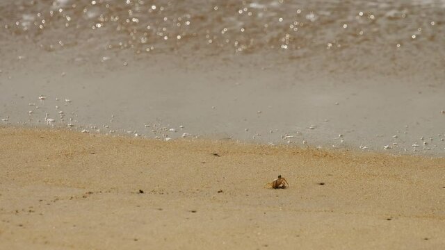 Crawls Images – Parcourir 344,306 le catalogue de photos, vecteurs et ...