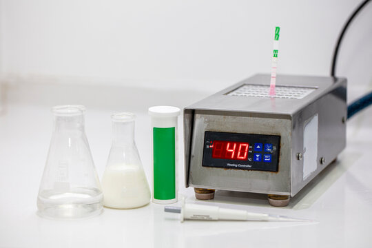 Antibiogram Images – Browse 63 Stock Photos, Vectors, and Video | Adobe ...