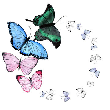 "Butterfly Frame" Images – Browse 358 Stock Photos, Vectors, and Video ...
