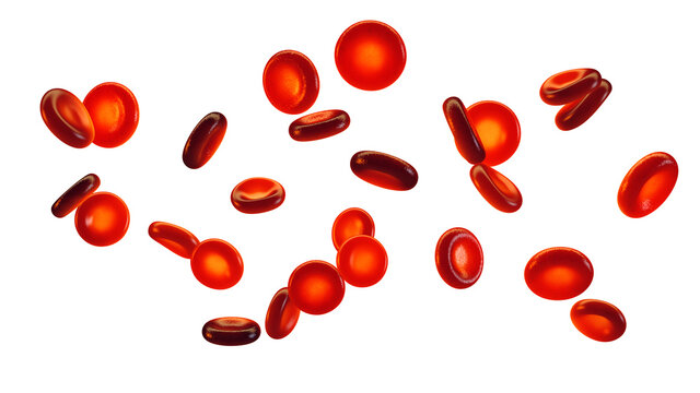 Free Blood Images – Browse 6,262 Free Stock Photos, Vectors, and Video ...