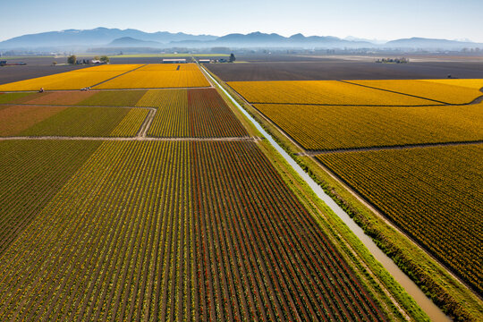 Intensive Commercial Farming